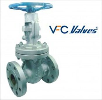 Válvulas de Compuerta 300 LBS RF - Vaportec